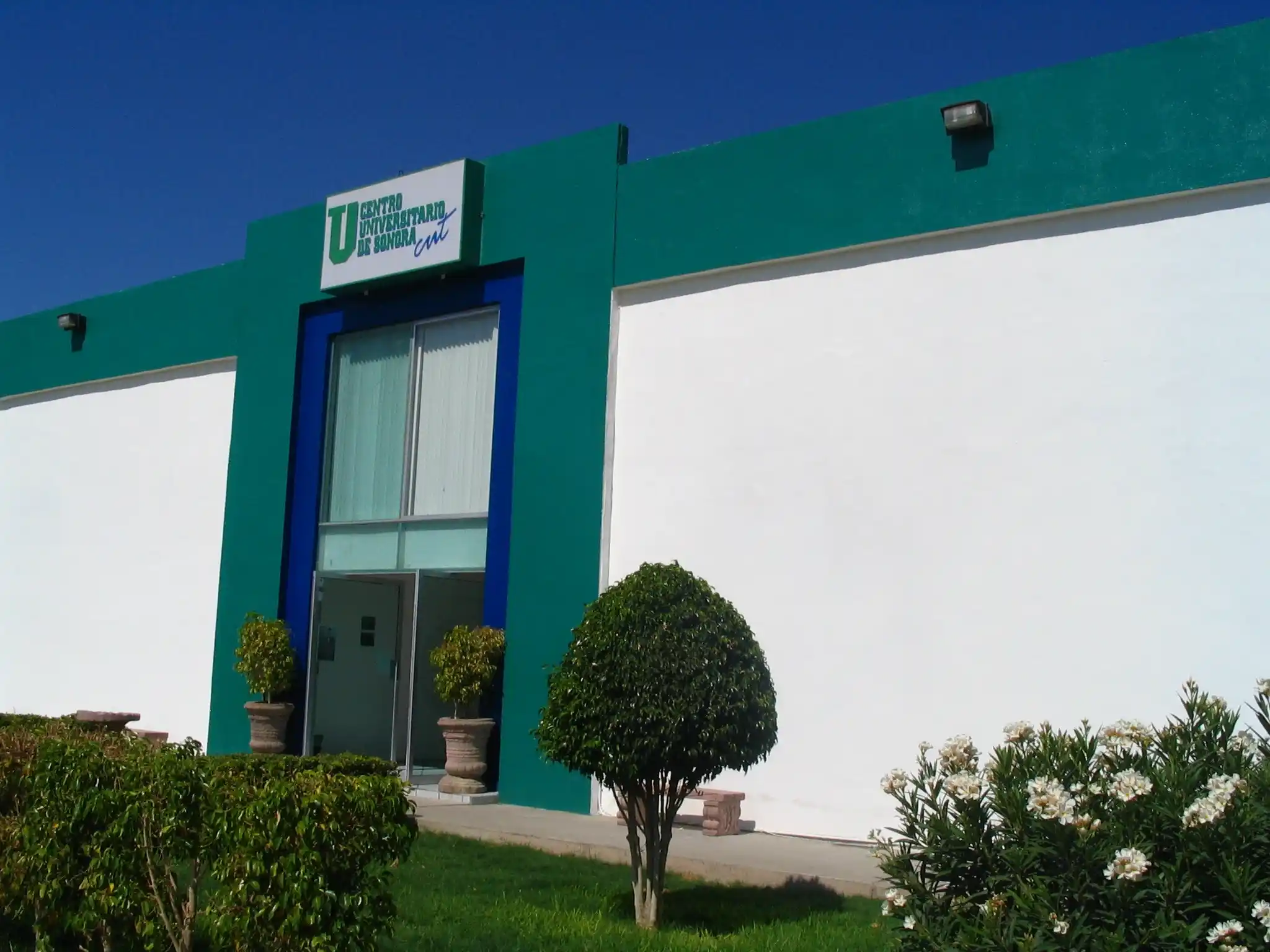 Cuson Universidad